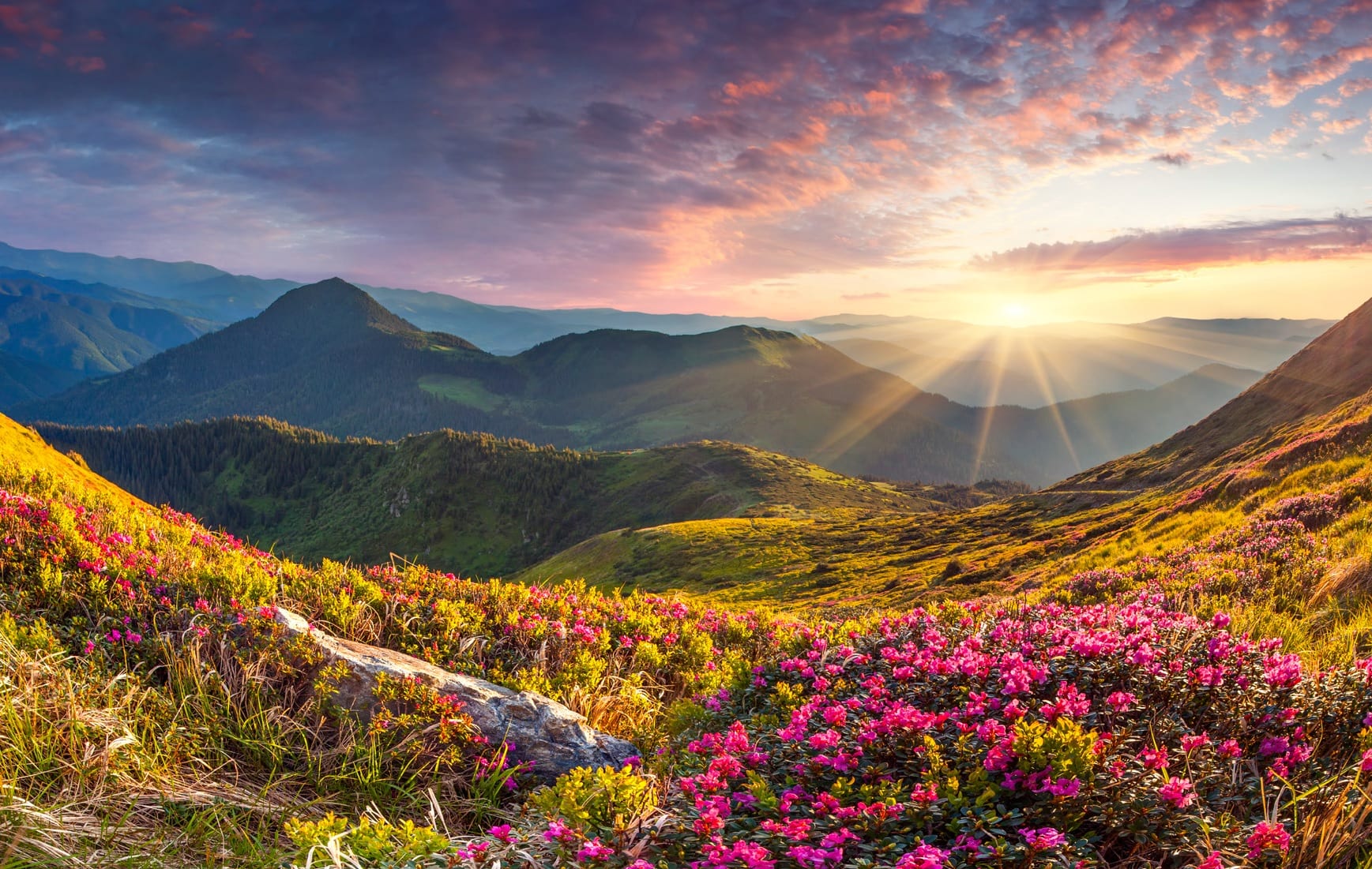 Starting Well With Working Well | Gloucestershire NHS Occupational ...